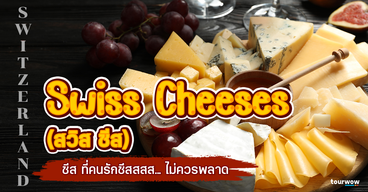 สวิส ชีส (swiss cheeses) ชีส ที่คนรักชีสสสส... ไม่ควรพลาด